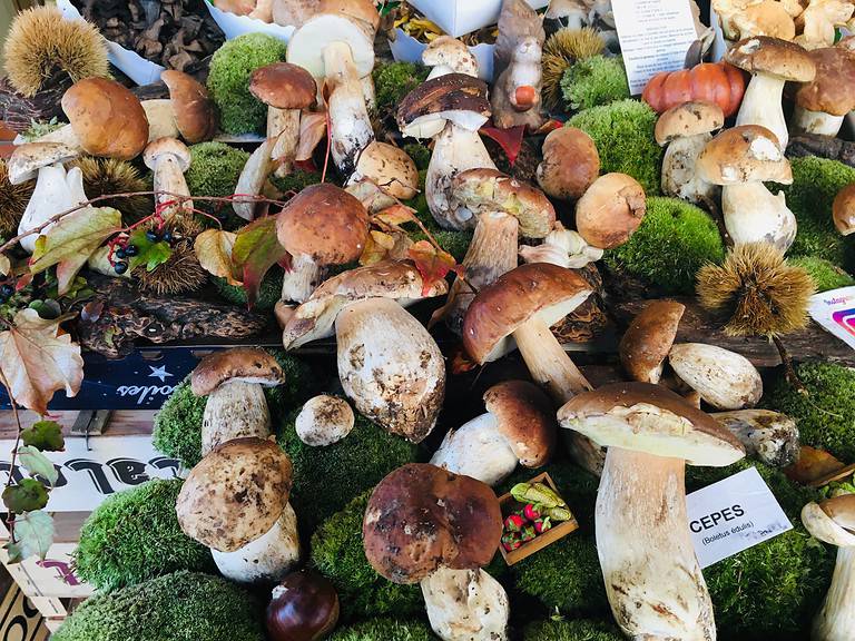 Champignons en Persillade (Mushrooms with Garlic and Parsley) - Quaint ...